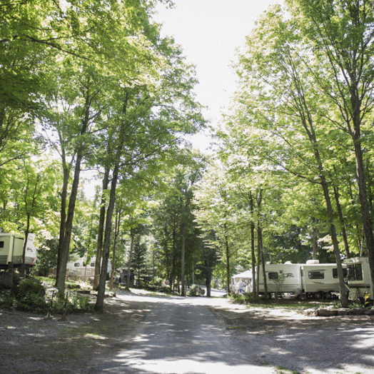 Gallery | Spring Rock Campground